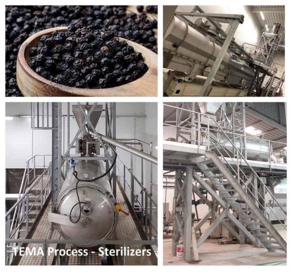 Pepper Steam Sterilizer | Tema Process