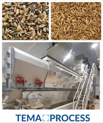 Drying black soldier fly larvae and mealworms on a fluidized bed dryer offers several advantages ...
