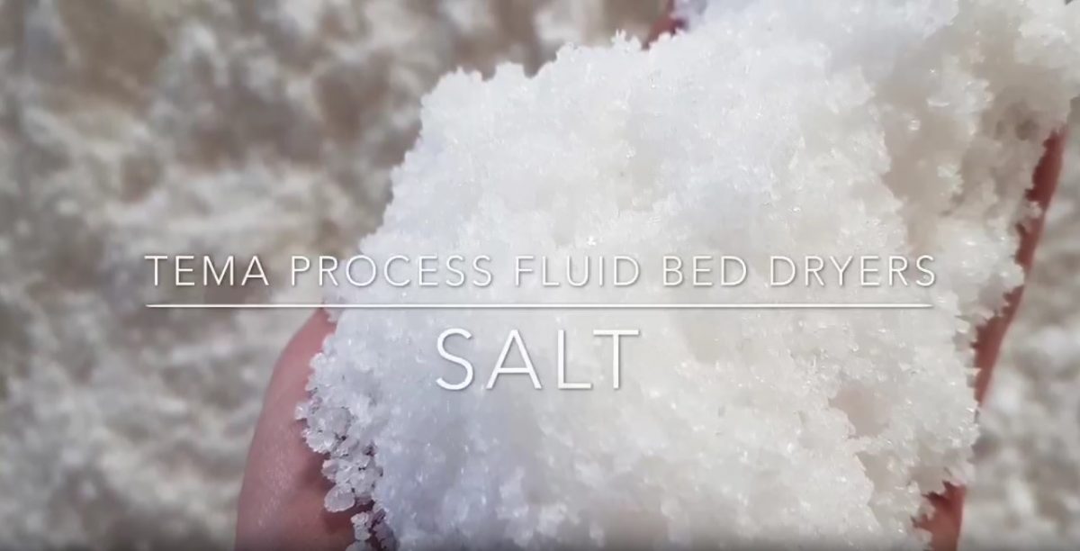 Fluid bed dryer for salt | Tema Process