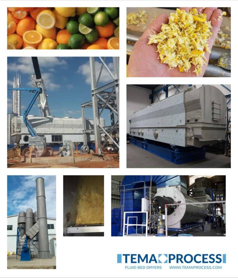 Industrial citrus peel drying | Tema Process
