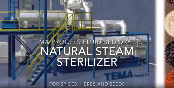 Steam Sterilization vs. EtO for Spices: The Safer Choice | Tema Process